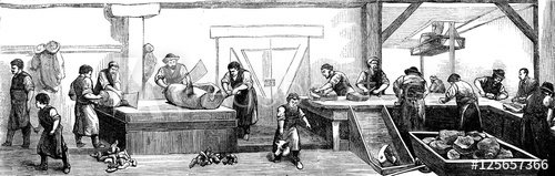 How to Setup a Slaughter House in India?